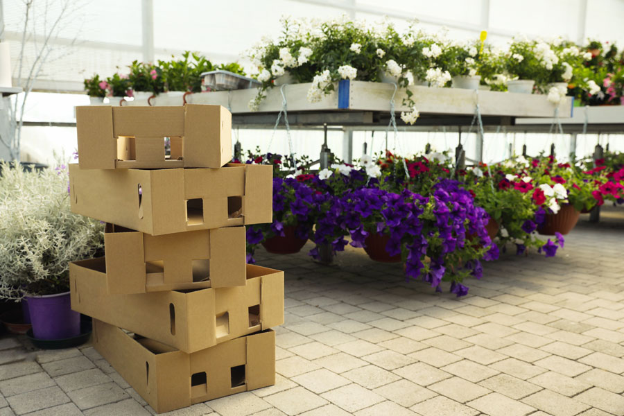 Horticultural packaging at Advanced Packaging